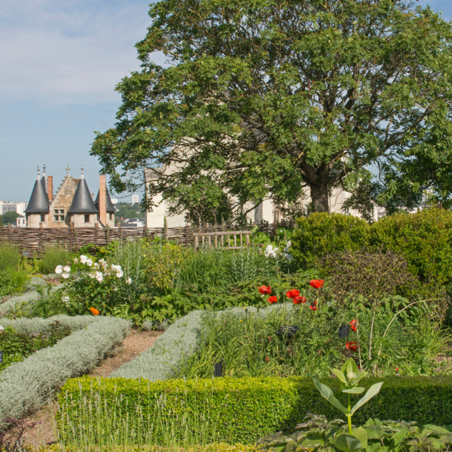 René the Magnificent : from history to legend