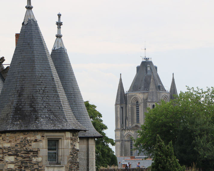 Le plus beau panorama d'Angers
